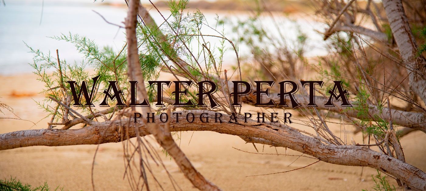 Walter Perta – Photographer